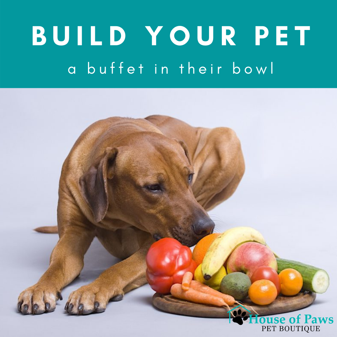 Building A Buffet In Your Pet's Bowl – House of Paws Pet Boutique
