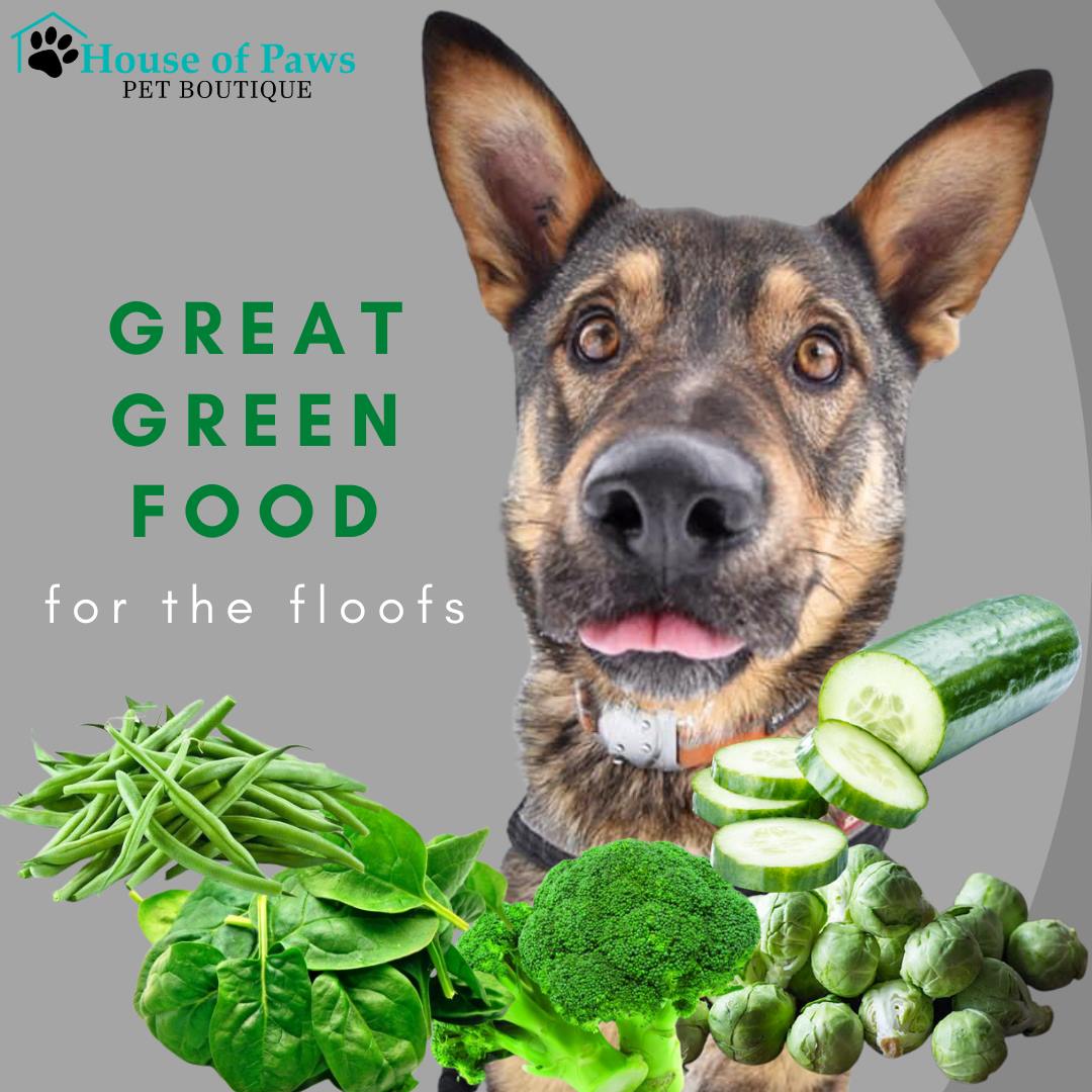 Green Nutrition Boosters For Pets – House of Paws Pet Boutique
