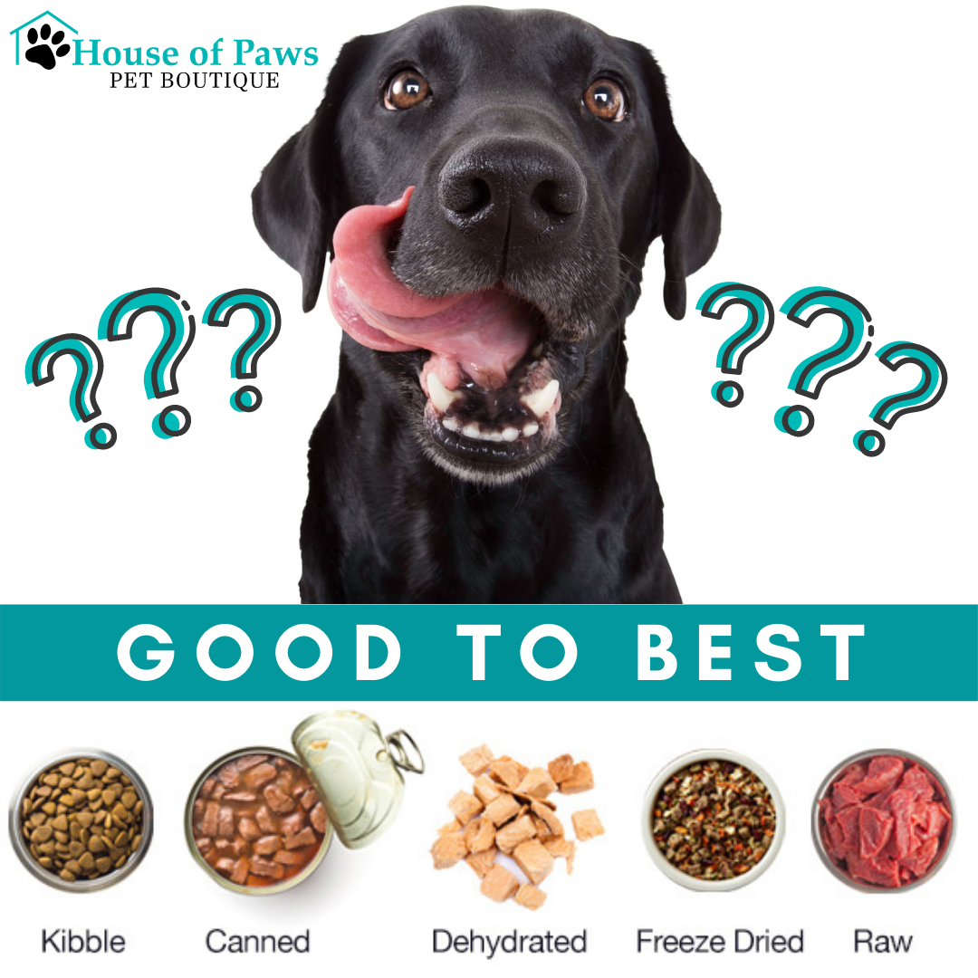 What Is Type Of Food Is Best For Your Dog? – House of Paws Pet Boutique