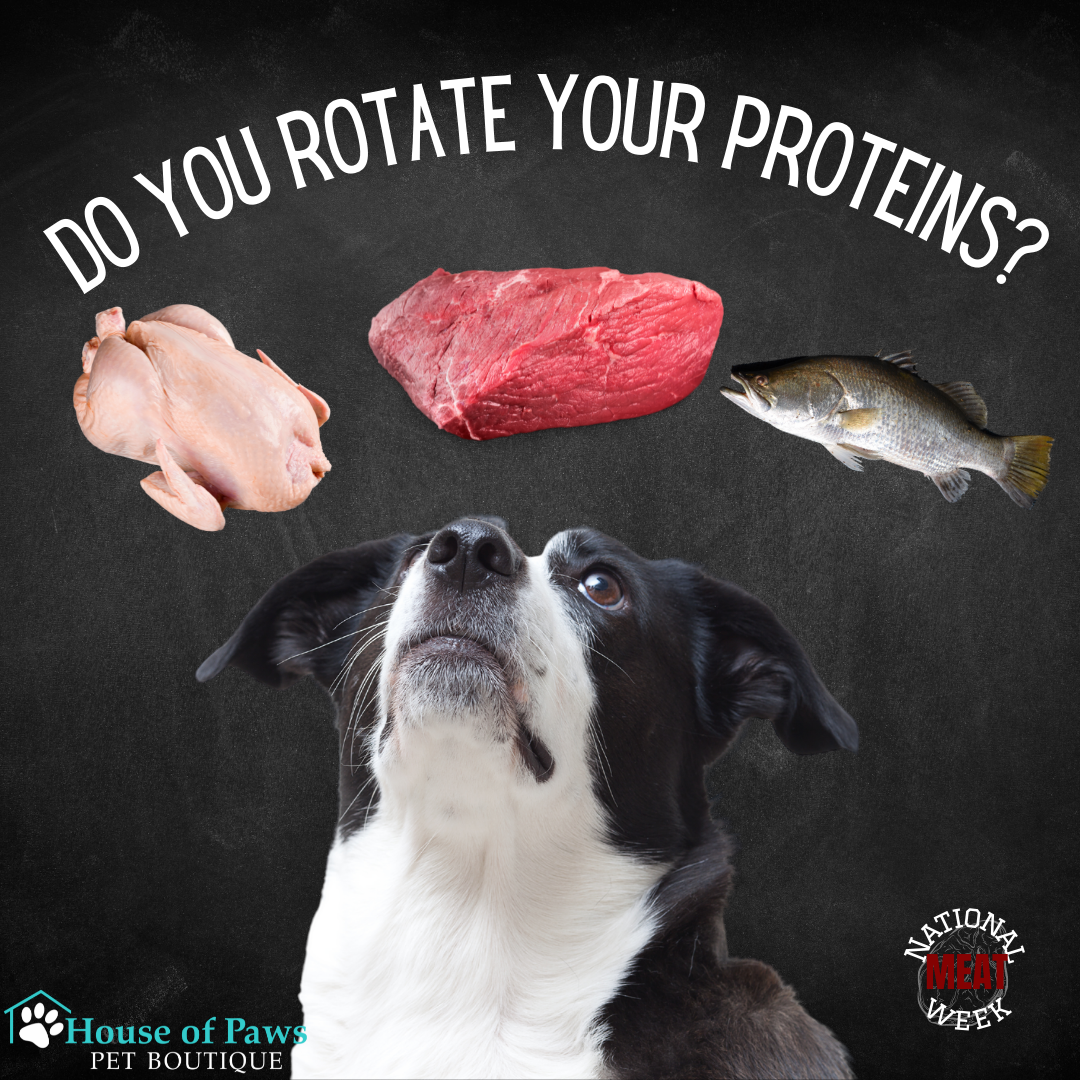 Why You Want to Rotate Your Proteins – House of Paws Pet Boutique