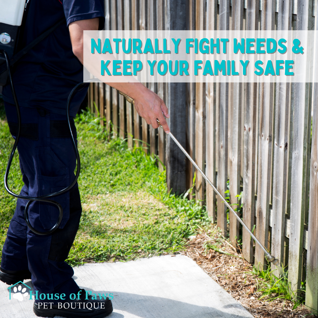 Keep Your Floofs Safe & Your Yard Weed Free! – House of Paws Pet Boutique