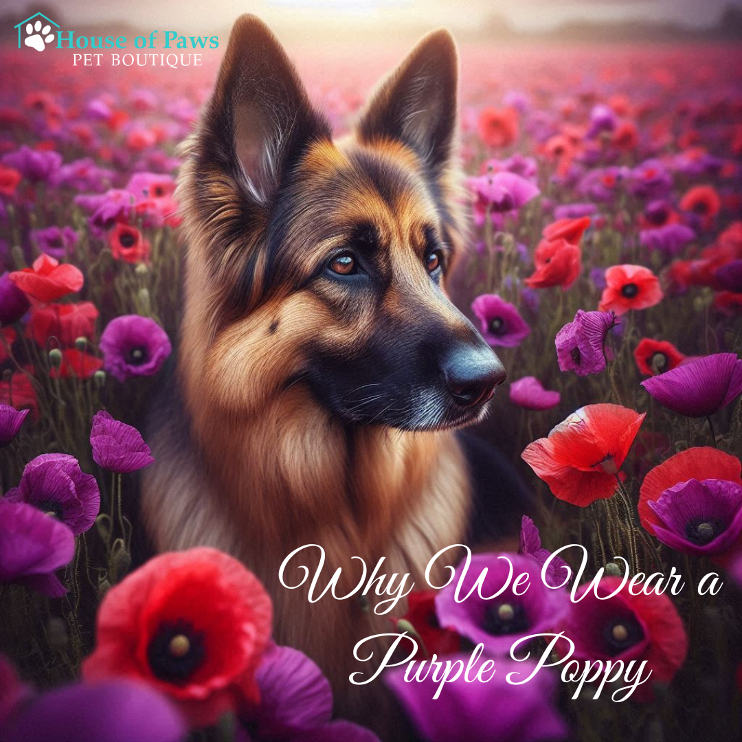 The Forgotten Heroes in Fur and Feather: Honouring the Purple Poppy ...
