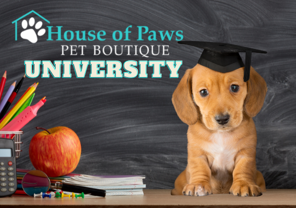 HoP U – House of Paws Pet Boutique